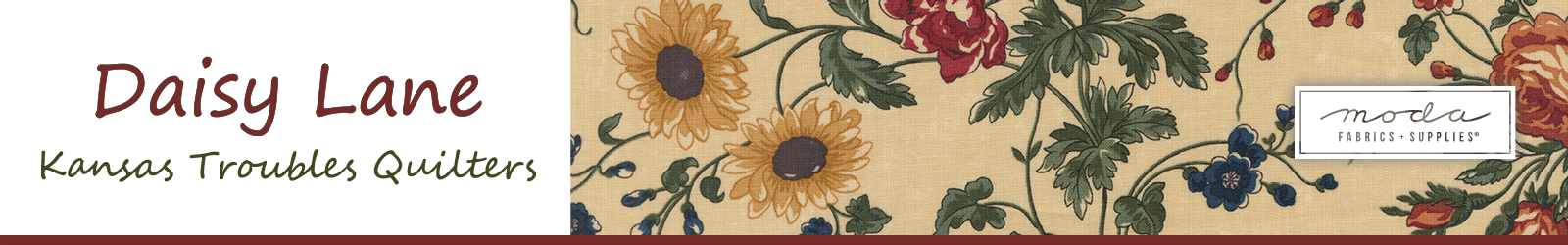 Moda Daisy Lane by Kansas Troubles Quilters
