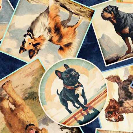 QT Fabrics Top Dog Dog Collage Navy - 30579 -N | Sewjersey.com
